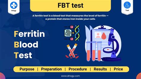 What Is A Normal Ferritin Level