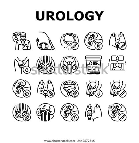 Prostate Stones Over 986 Royalty Free Licensable Stock Illustrations