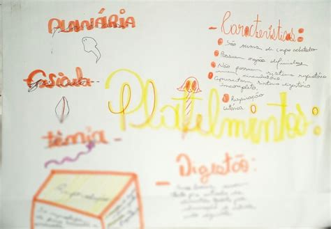 Solution Mental Map Flatworms Mapa Mental Platelmintos Studypool