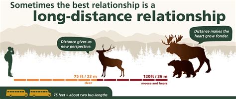 Wildlife Safety Katahdin Woods And Waters National Monument U S