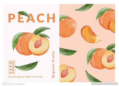 卡通桃子 花瓣网