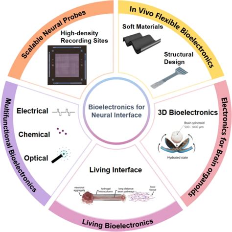 The Research Buzz Bmes Latest Discoveries Johns Hopkins Biomedical
