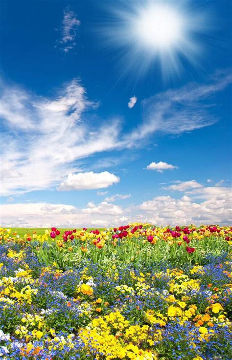 Alvin And Brittany Love Struggles Assassin Wattpad