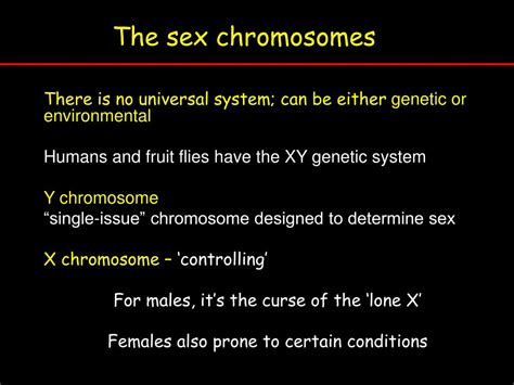 Ppt Mitochondrial Genome Powerpoint Presentation Free Download Id