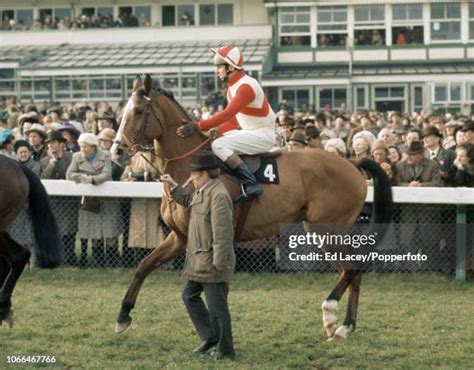 The Dickler Photos And Premium High Res Pictures Getty Images