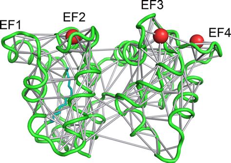 Example Of Protein Structure Network Calculated With Pyinteraph For