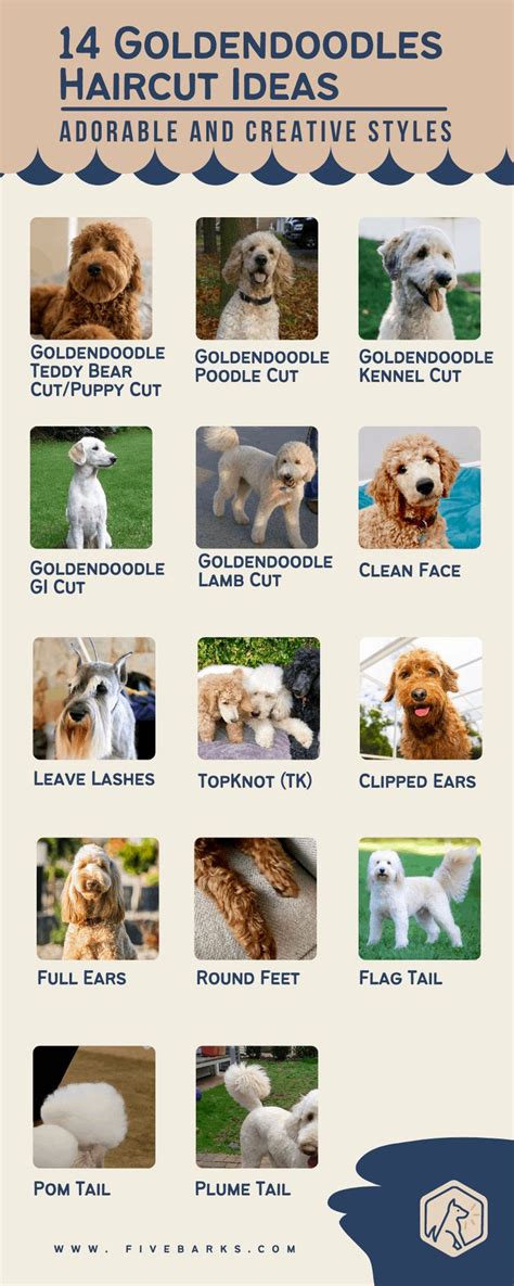 An Important Part Of Your Goldendoodles Grooming Regimen Is His Clip