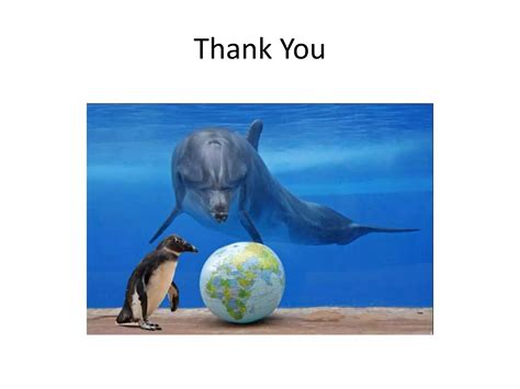 Origin Of Ocean Basins Pptx