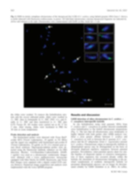 Solution Use Of Fluorescence In Situ Hybridization As A Tool For