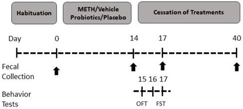 Probiotics Alter The Microbial And Behavioral Consequences Of