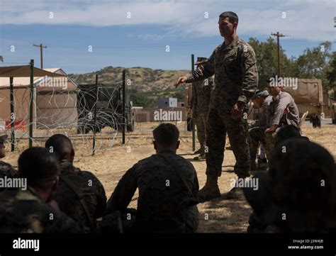 Sgt Steven J Minchew Military Policeman Company A 1st Law