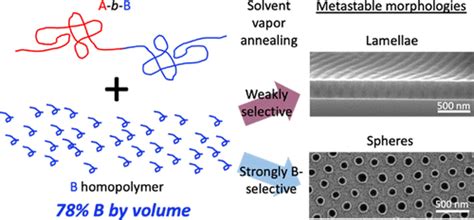 Engineering Self Assembled Domain Asymmetry In Solvent Vapor Annealed Block Copolymer