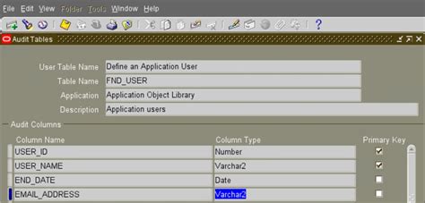 Understanding The Value And Functionality Of Oracle Ebs Audit Trail Blog Syntax