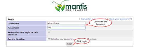 How To Create A Project In Mantisbt Letzdotesting