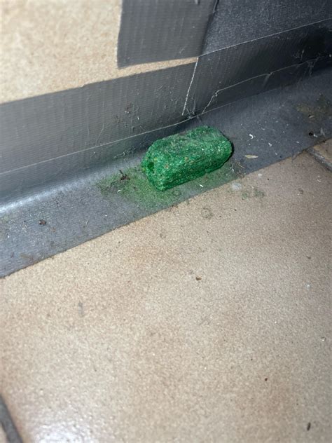 Mouse Bait Block Poison R Thisisthatthing