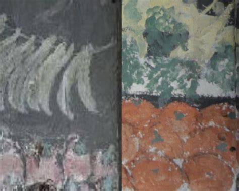 חיי מדף חיה מילר