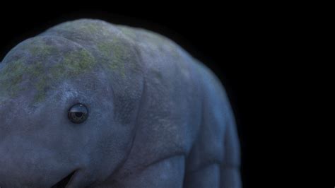 Samuel Enslin Tardigrade Freezing Effect Randd