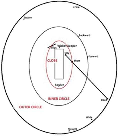Fielding Categories And Permutations Download Scientific Diagram