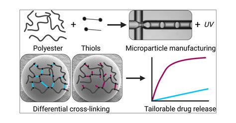 Bench Scale Microfluidic Manufacturing Of Cross Linked Polyester