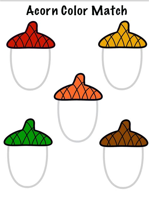 Acorn Color Match Etsy