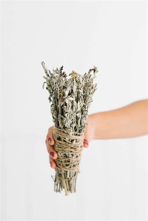 Adaçayı Tütsü La Vie Ancienne