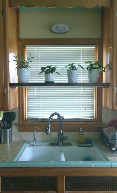 Plants Shelf Above Kitchen Sink