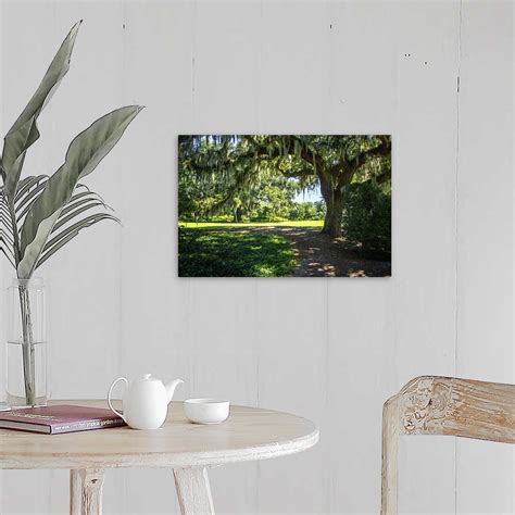 Spanish Moss Ii Wall Art Canvas Prints Framed Prints Wall Peels