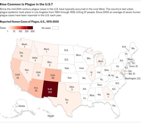 Plague Still Exists Heres Where And How It Spreads In The U S Scientific American
