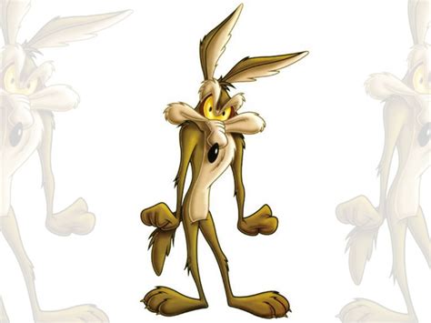 Wile E Coyote Quotes Quotesgram Wile E Coyote Quotes Quotesgram