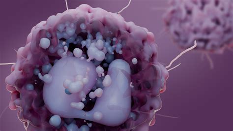 Basophil White Cell Model Turbosquid 2344870