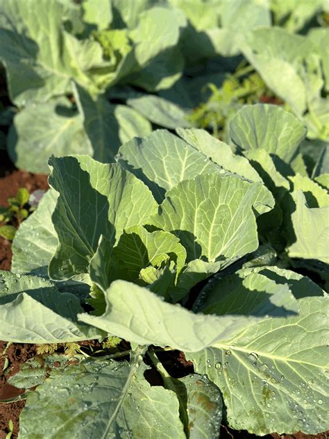 Mthembu Moses On Linkedin The Most Profitable Businesses Are Those That Exist To To Solve