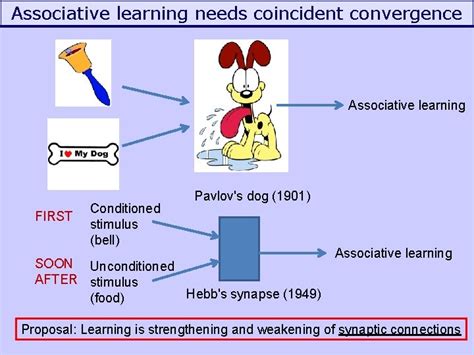 Learning At The Synapse Bertil Hille Ph D