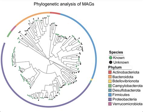 Metagenomics Datasets Of Water And Sediments From Eutrophication Impacted Artificial Lakes In
