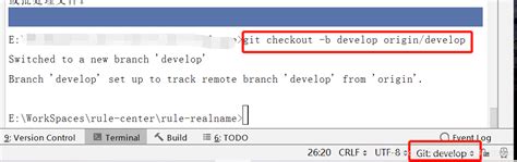 分支切换（idea通过git命令，使用sourcetree工具）idea Sourcetree Csdn博客