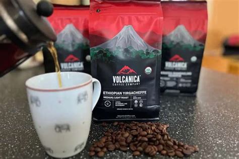 12 Best Arabica Coffee Brands In 2026 A Taste Tour
