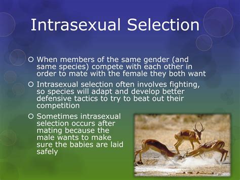 Ppt Sexual Selection Powerpoint Presentation Free Download Id1941056