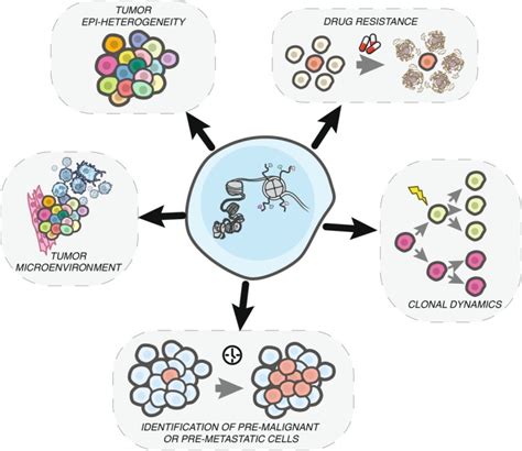 A Hitchhikers Guide To Single‐cell Epigenomics Methods And