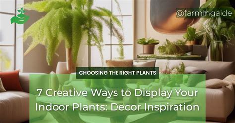 7 Creative Ways To Display Your Indoor Plants Decor Inspiration