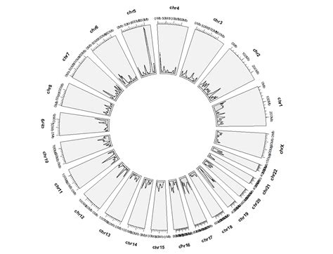 Chapter 5 Geom Genomic Track Layers Ggcirclize Reference Book