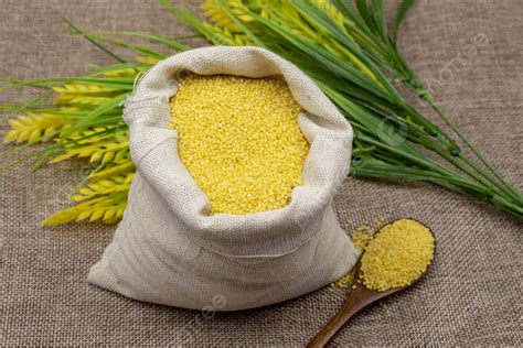 พื้นหลังa Bag Of Millet พาหะพื้นหลังและไฟล์ Psd สำหรับดาวน์โหลดฟรี