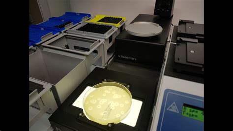 Automated Lab For Microbiology Plating And Colony Picking On The