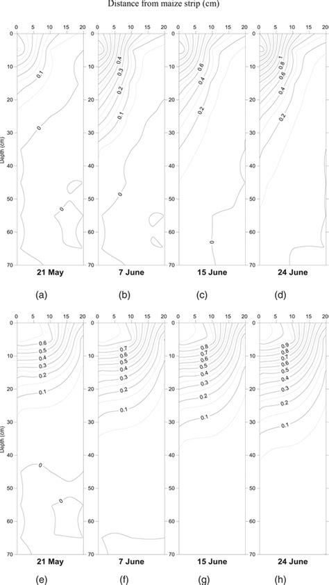 Comparison Of Ad The Observed And Eh Simulated Maize Root Length
