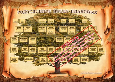 Семейное дерево включает бесплатные шаблоны и картинки оформление