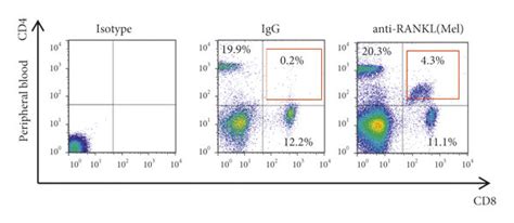 Flow Cytometry Analysis Of Thymocytes Pbmcs And Splenocytes A Flow