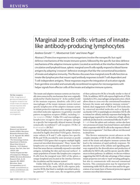 Pdf Marginal Zone B Cells Virtues Of Innate Like Antibody Producing