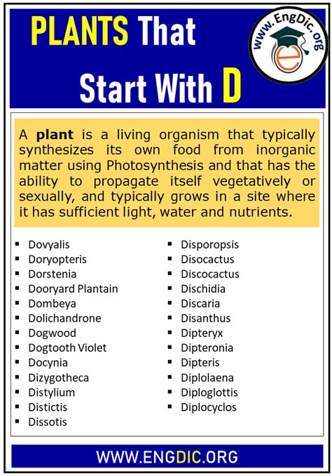 500 Plants That Start With D Complete List EngDic