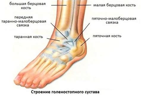 Тренировка голеностопа после растяжения связок