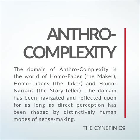 Cynefin Complex Complexity Sensemaking Cognition Narratives The Cynefin Company