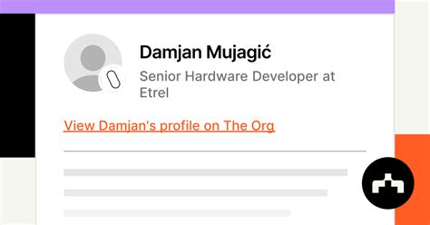 Damjan Mujagić Senior Hardware Developer At Etrel The Org