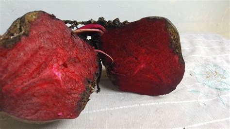 Apa Itu Buah Bit Beetroot